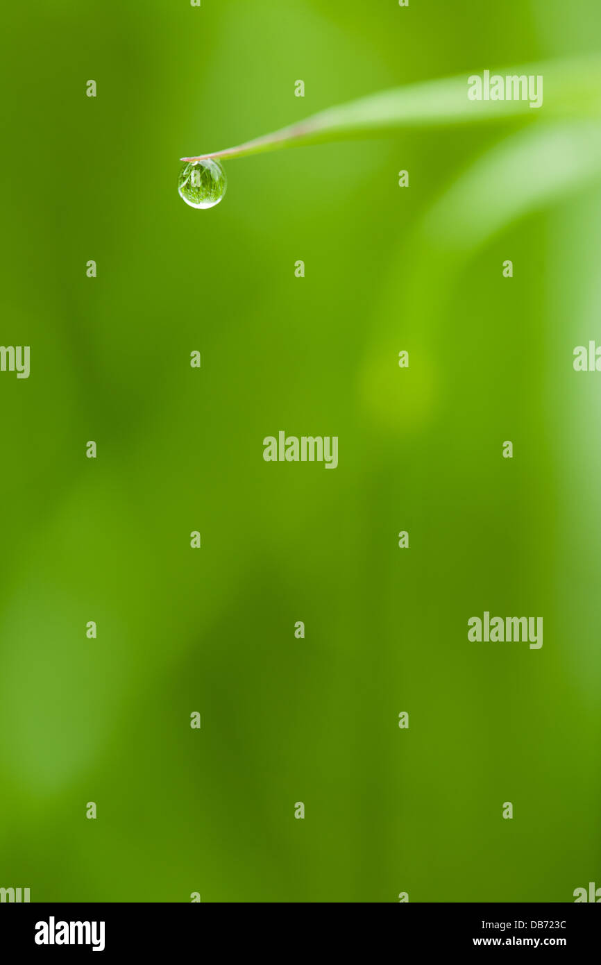 Rain Water Droplet Stock Photo - Alamy