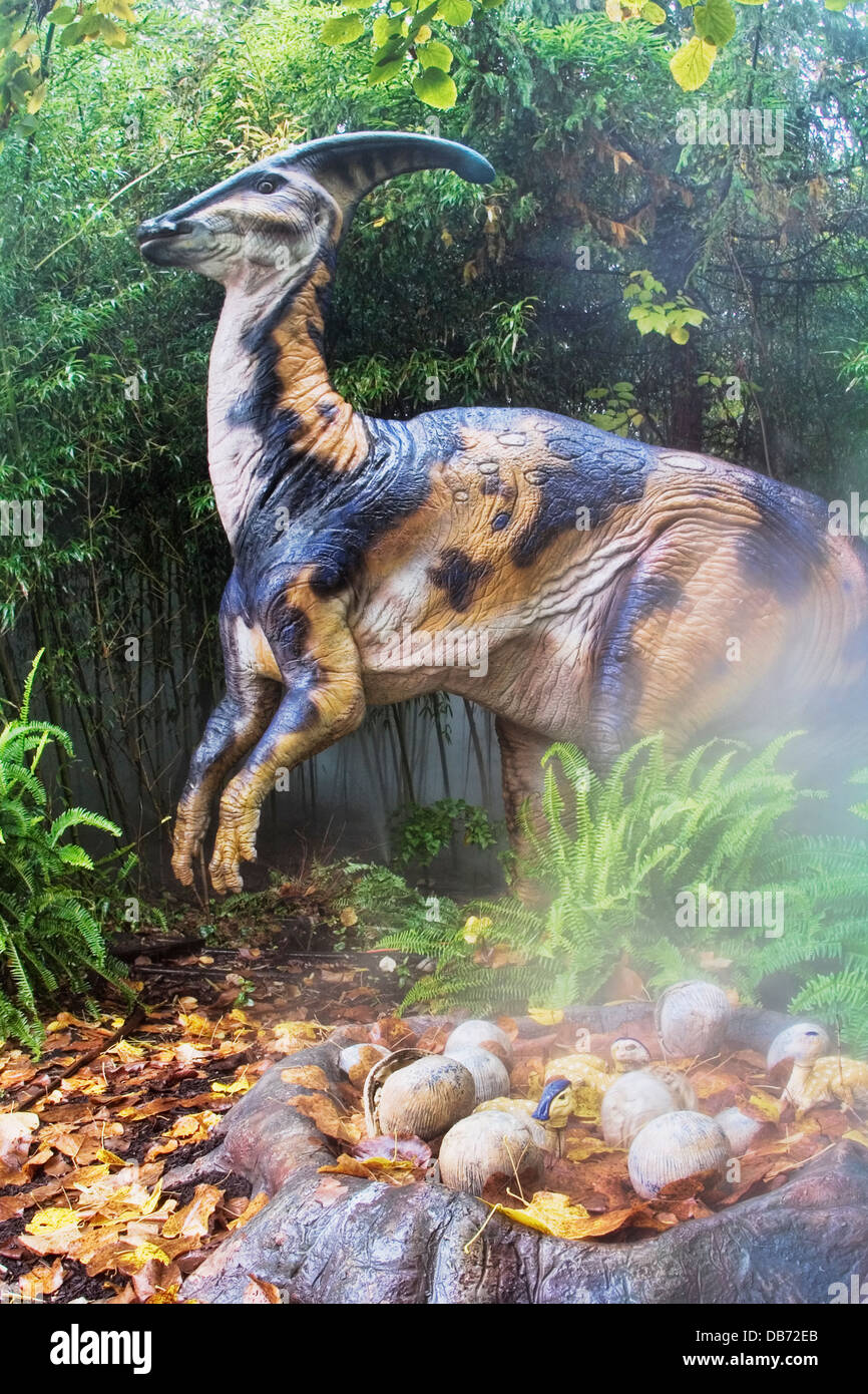 Parasaurolophus hi-res stock photography and images - Alamy