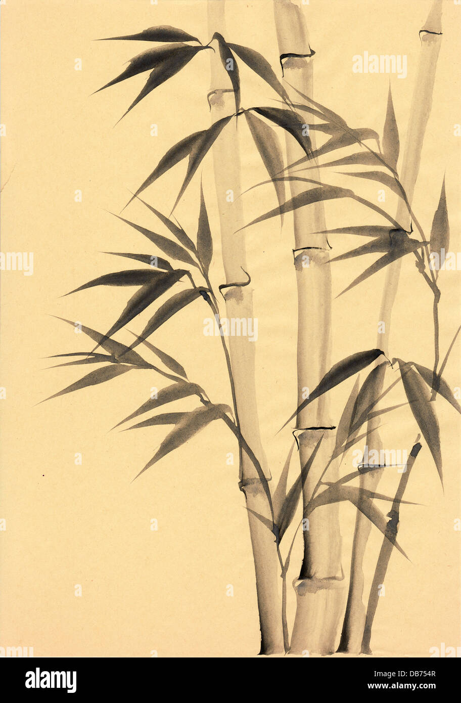 Original art, watercolor painting of bamboo, Asian style painting Stock ...