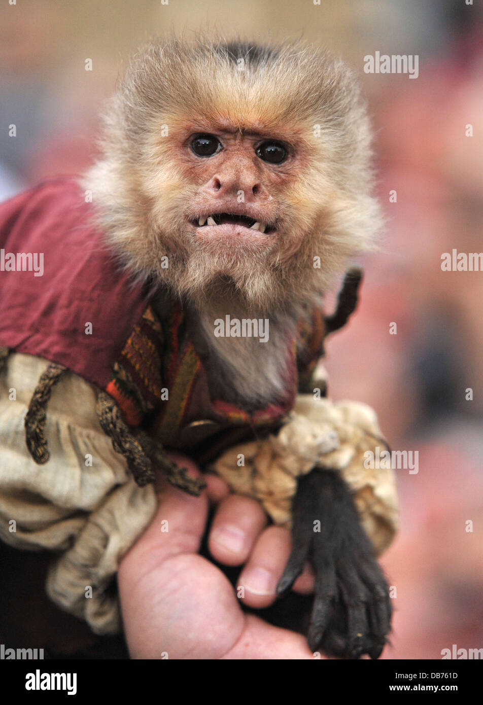 Pirates of caribbean stranger tides hi-res stock photography and images ...