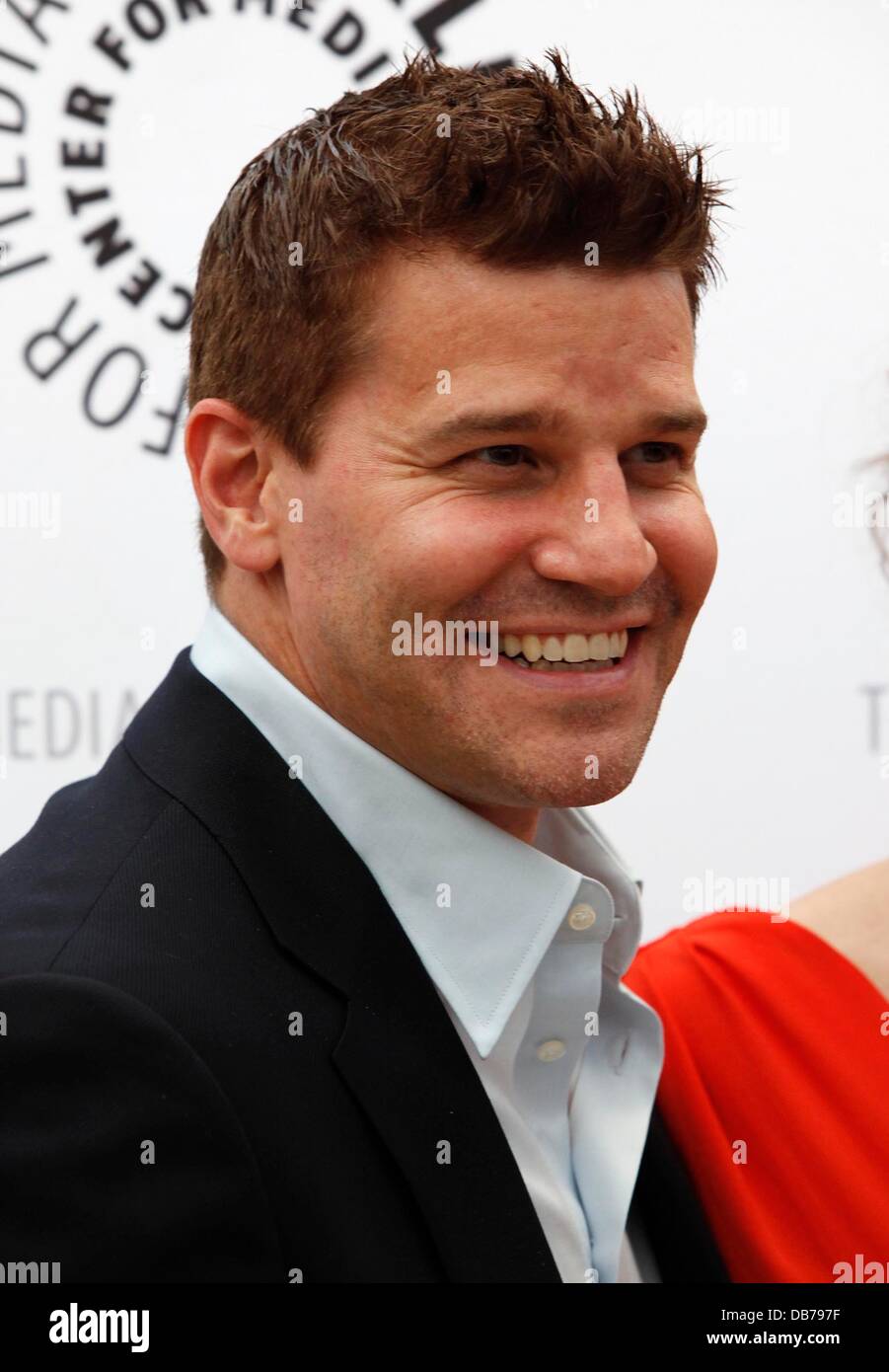 David boreanaz bones hi-res stock photography and images - Alamy