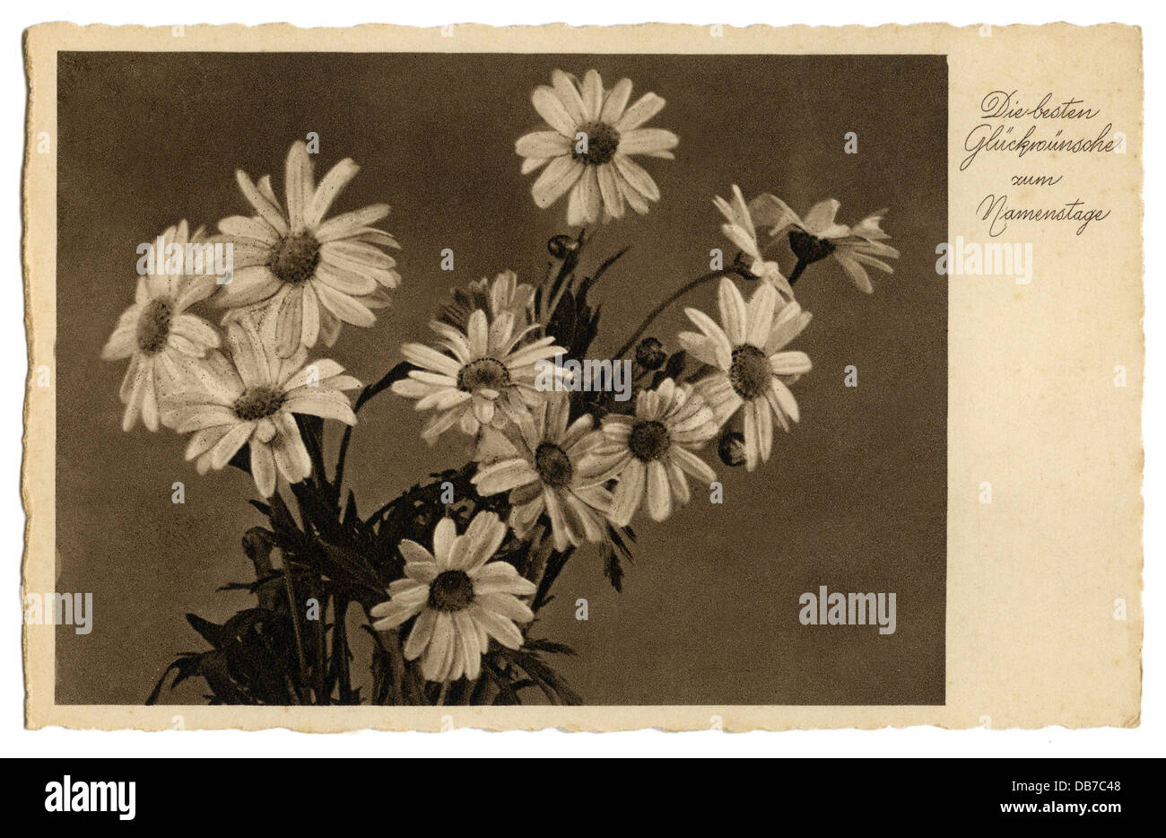 festivities, greeting cards name day, "Die besten Glückwünsche zum ...