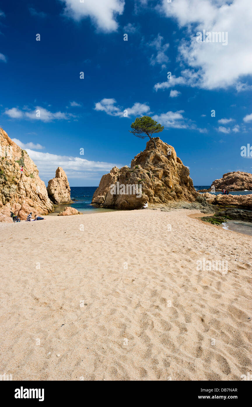 Beach with rocks hi-res stock photography and images - Alamy
