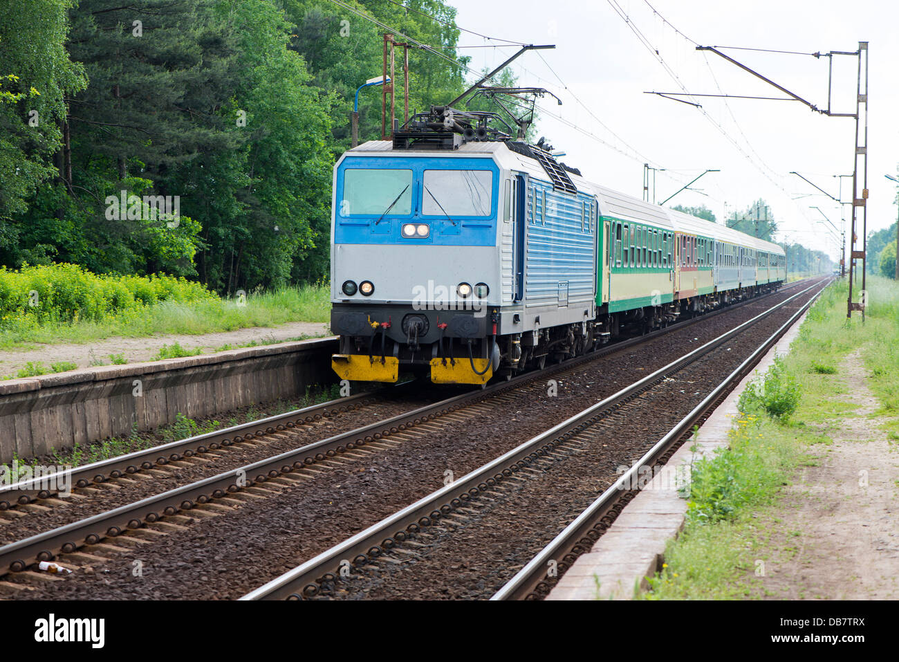 Poland forest train hi-res stock photography and images - Alamy