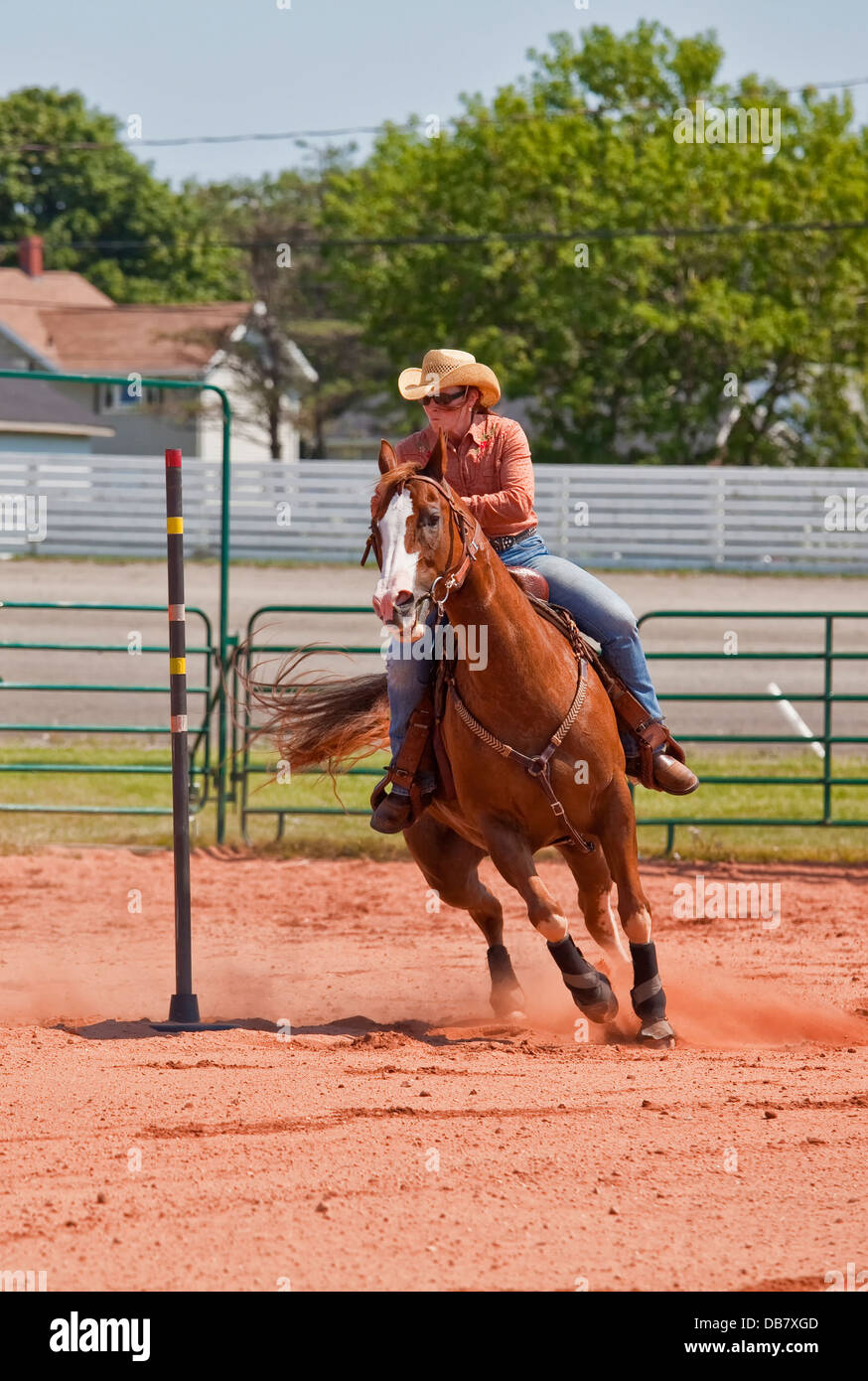 Western horse and rider competing in pole bending and barrel racing ...
