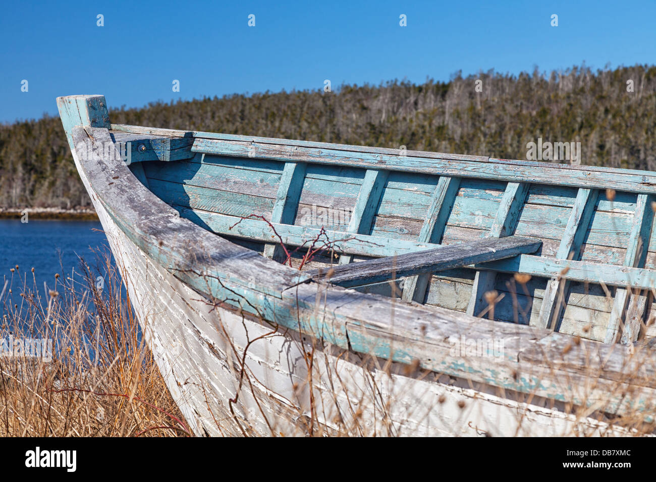 A rustic wooden boat resting in the weeds along the lake shore Stock ...