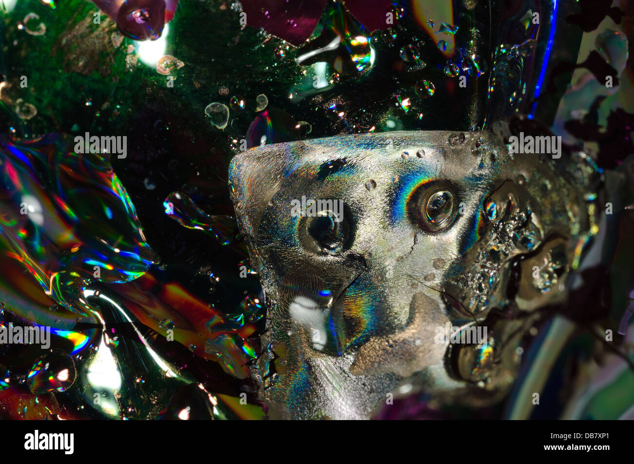 spectrum of colours reflections warped silver gold metal and plastic ...