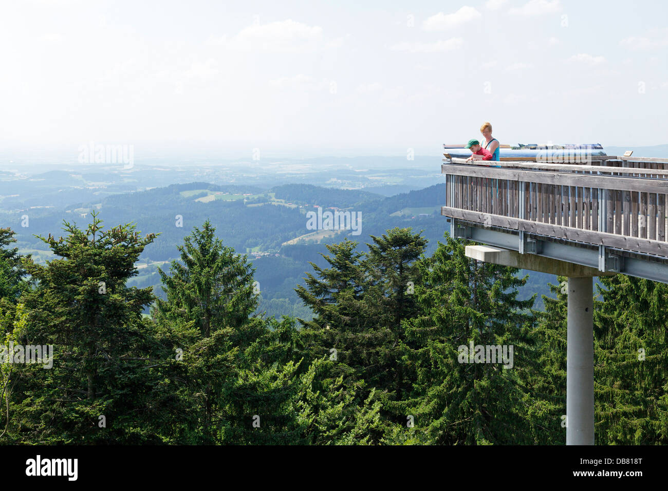 Canopy walkway, Maibrunn, Bavarian Forest, Baveria, Germany Stock Photo ...