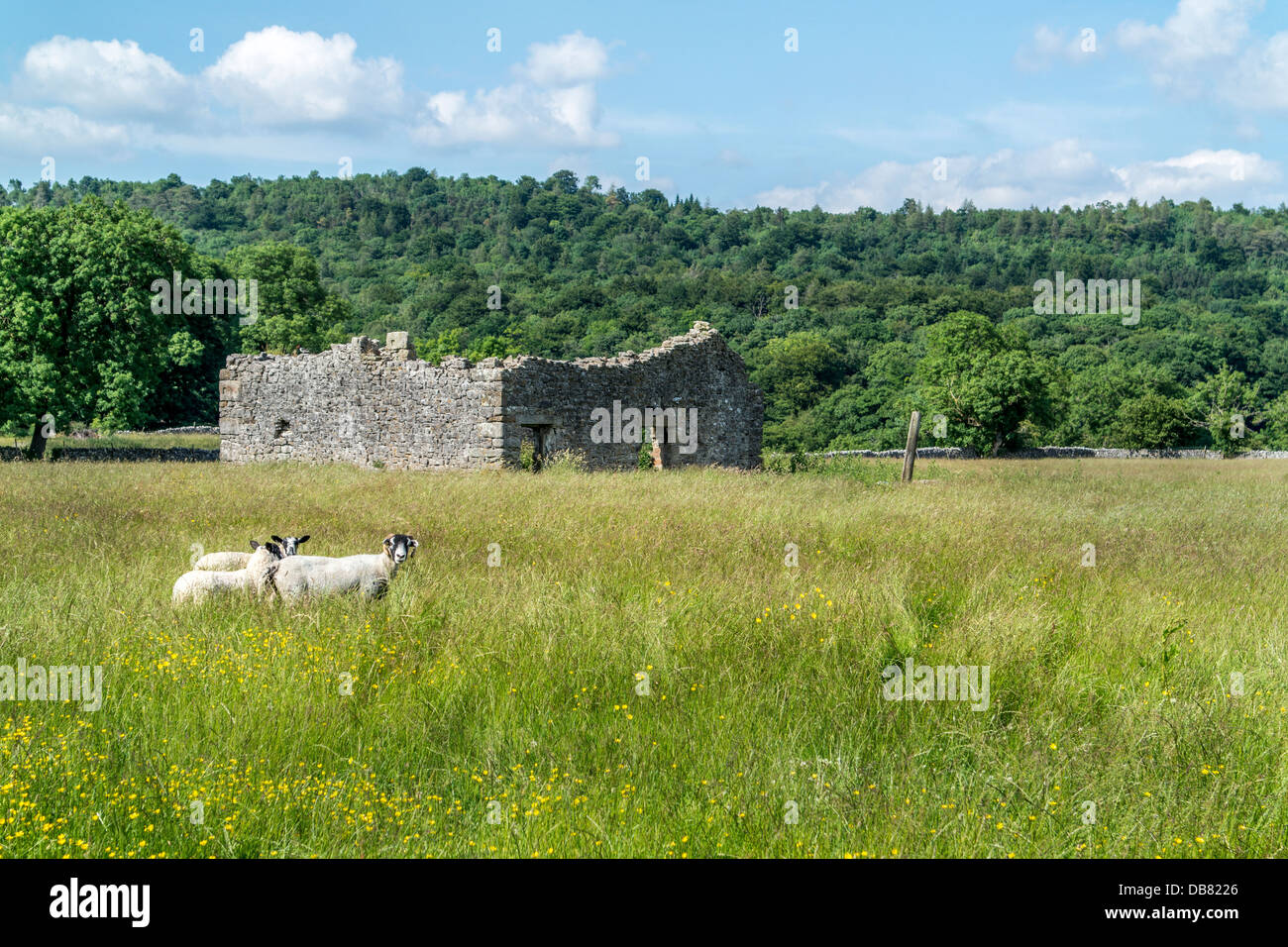 Old farmhouse ruins hi-res stock photography and images - Alamy