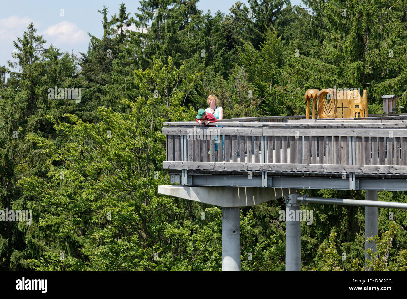 Canopy of trees hi-res stock photography and images - Alamy