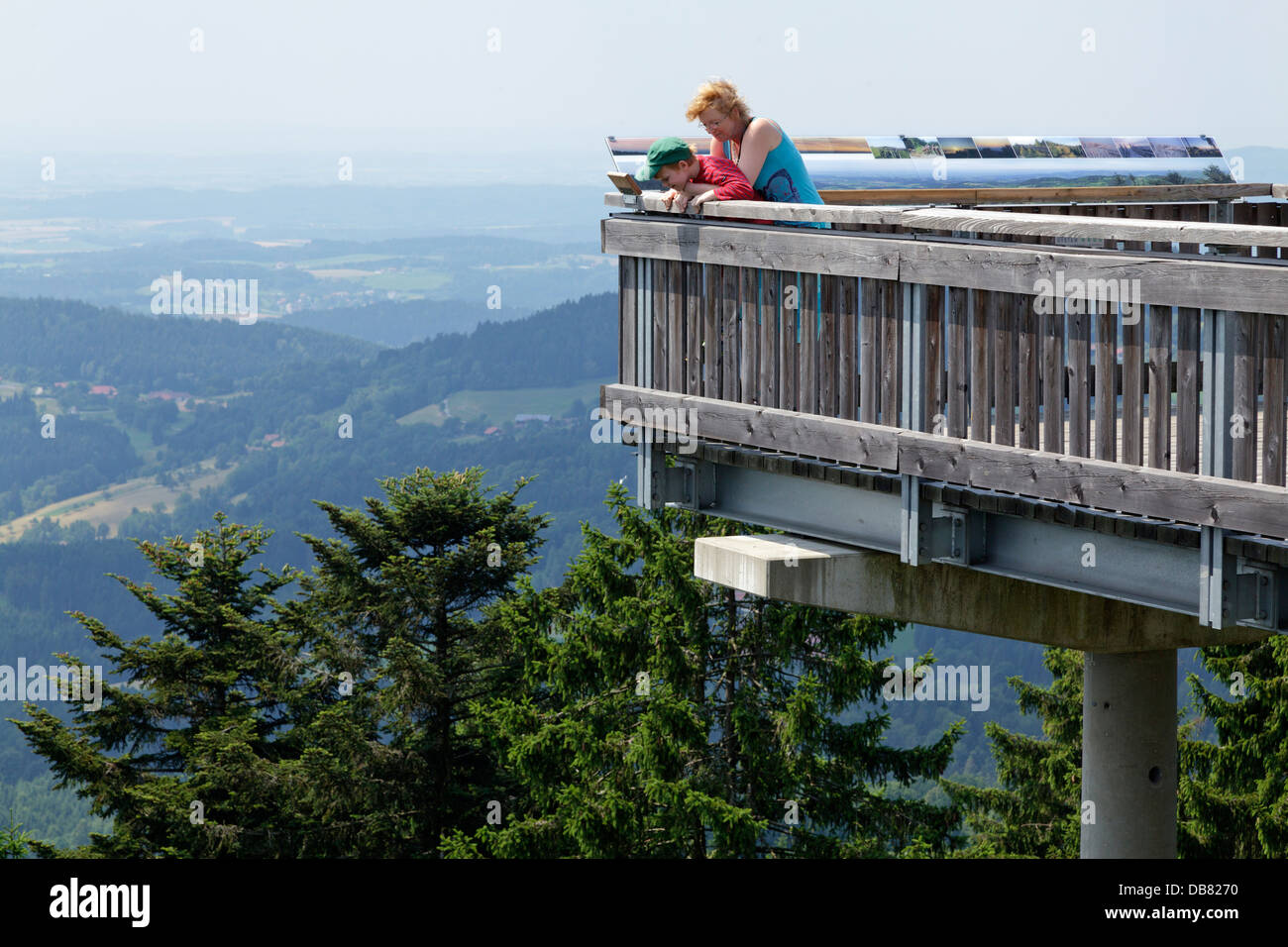 Canopy walkway, Maibrunn, Bavarian Forest, Baveria, Germany Stock Photo ...