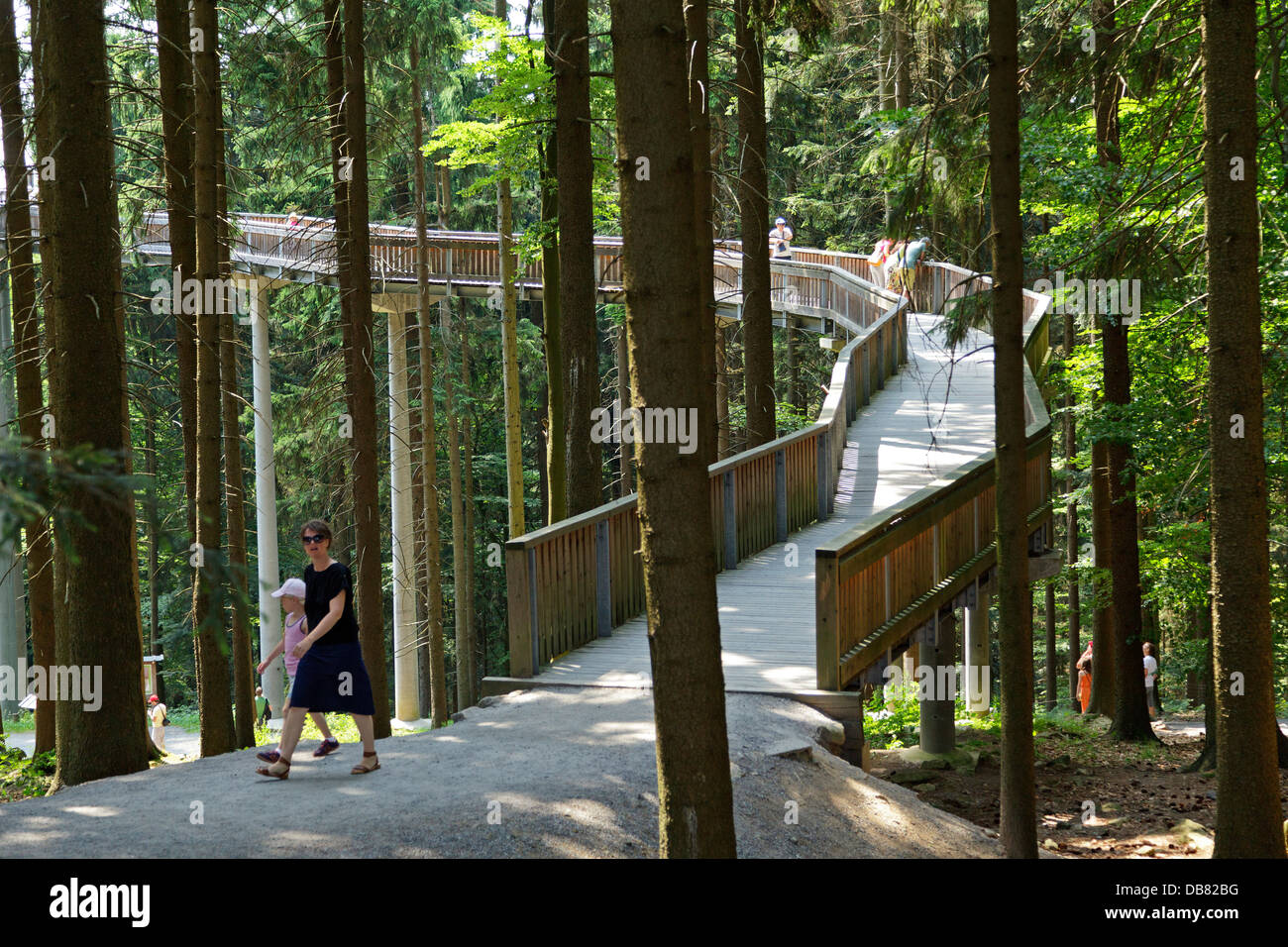Canopy walkway, Maibrunn, Bavarian Forest, Baveria, Germany Stock Photo ...
