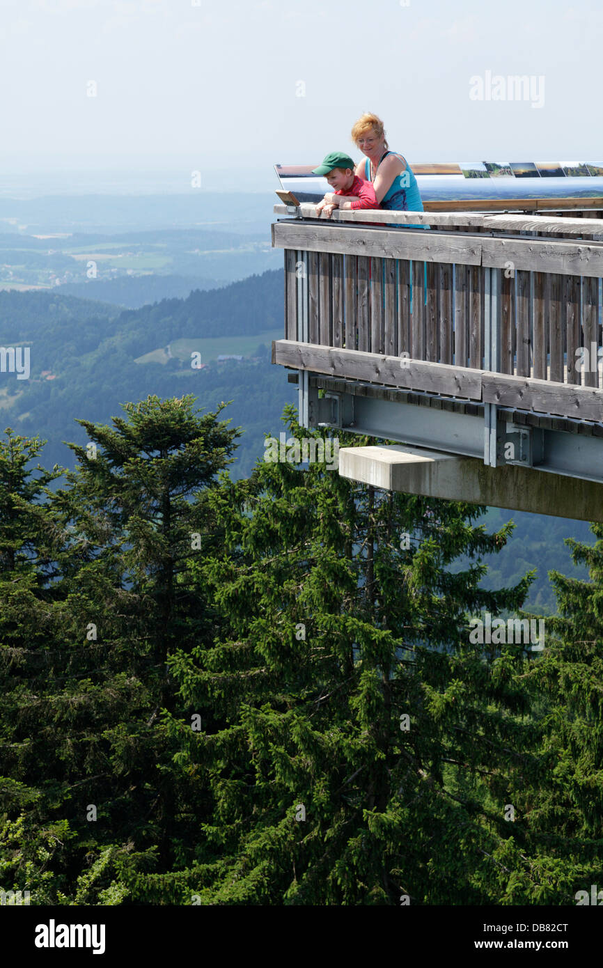 Canopy walkway, Maibrunn, Bavarian Forest, Baveria, Germany Stock Photo ...