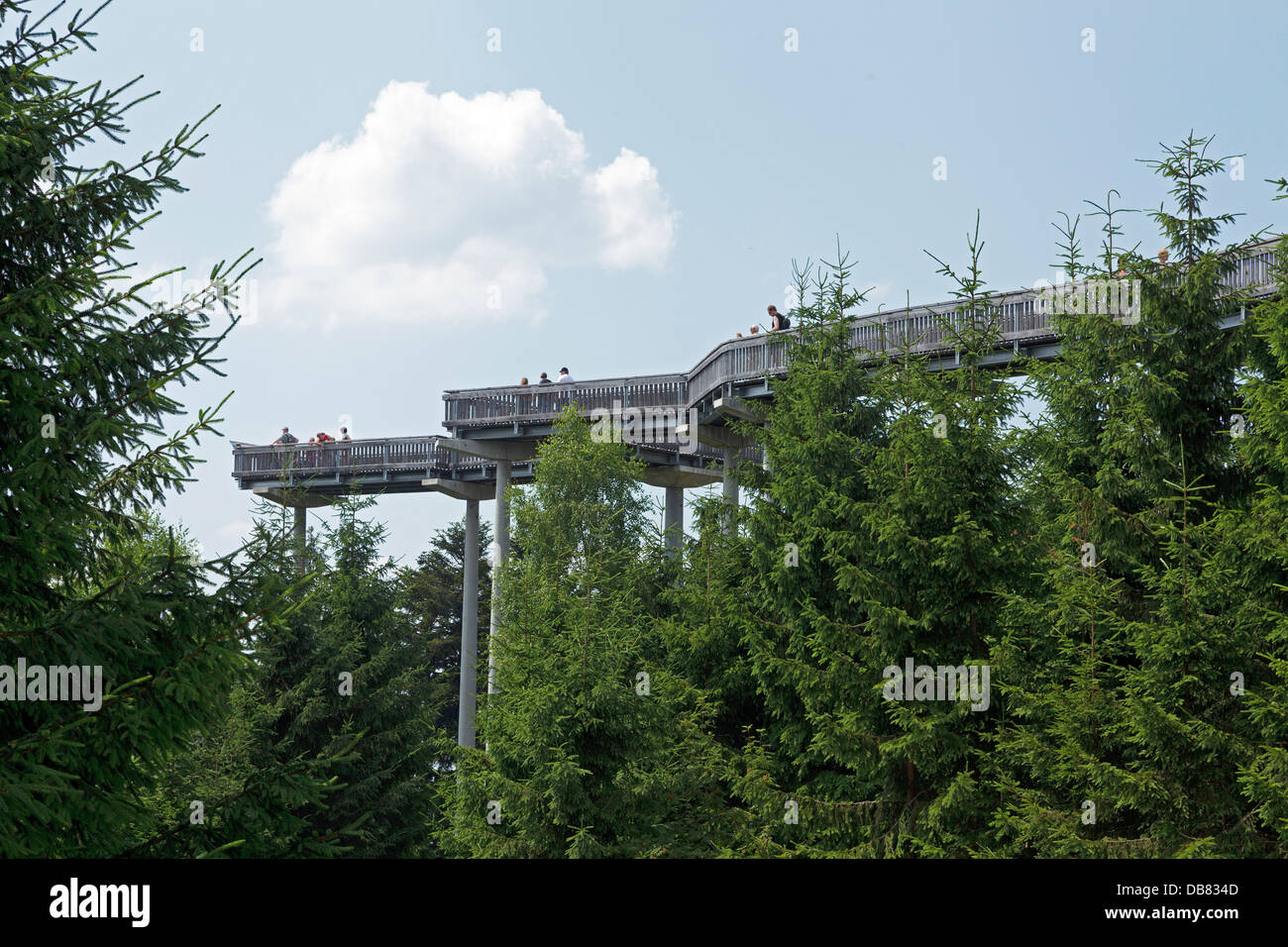 Canopy walkway hi-res stock photography and images - Alamy