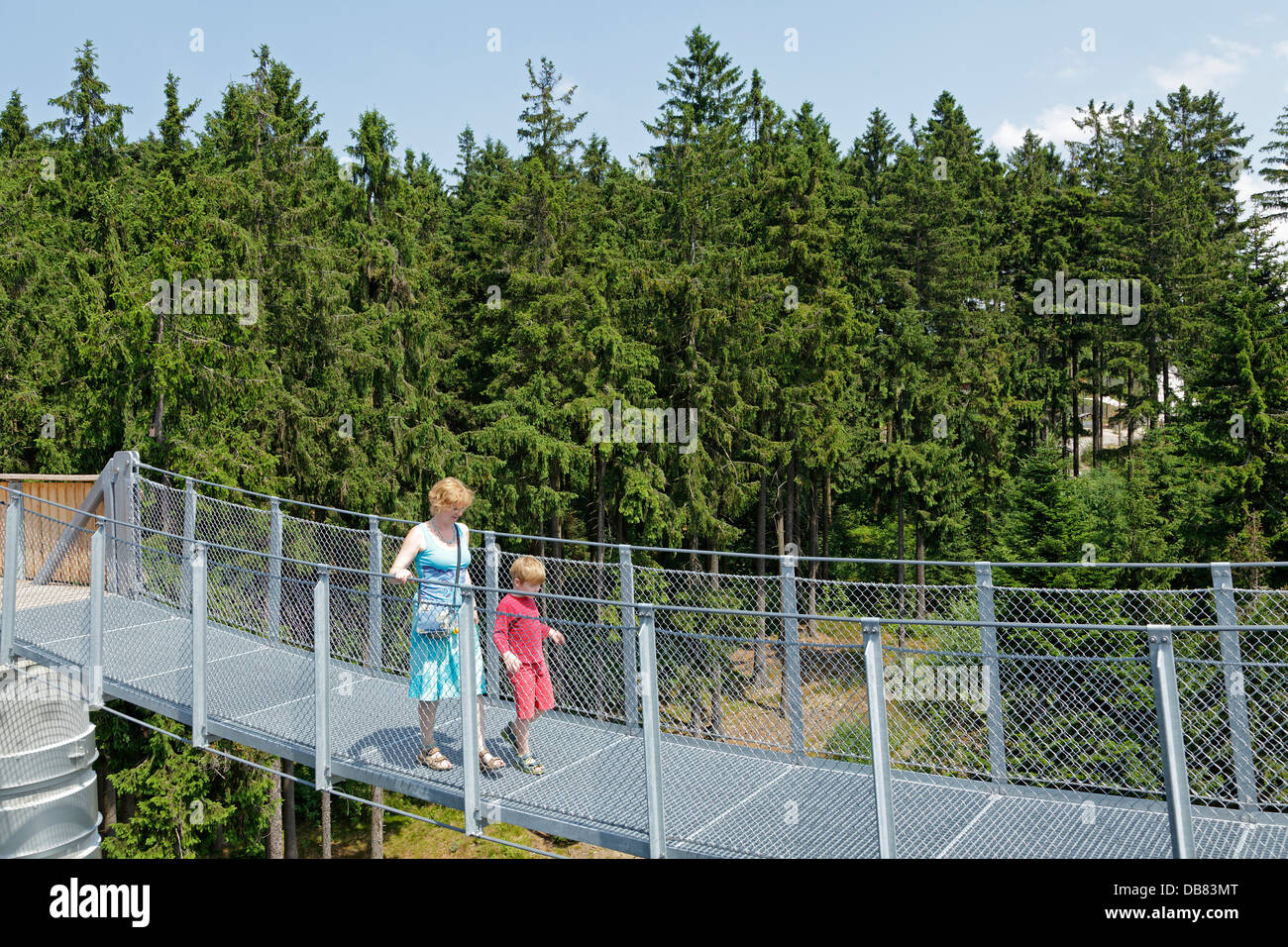 suspension bridge, canopy walkway, Maibrunn, Bavarian Forest, Baveria ...