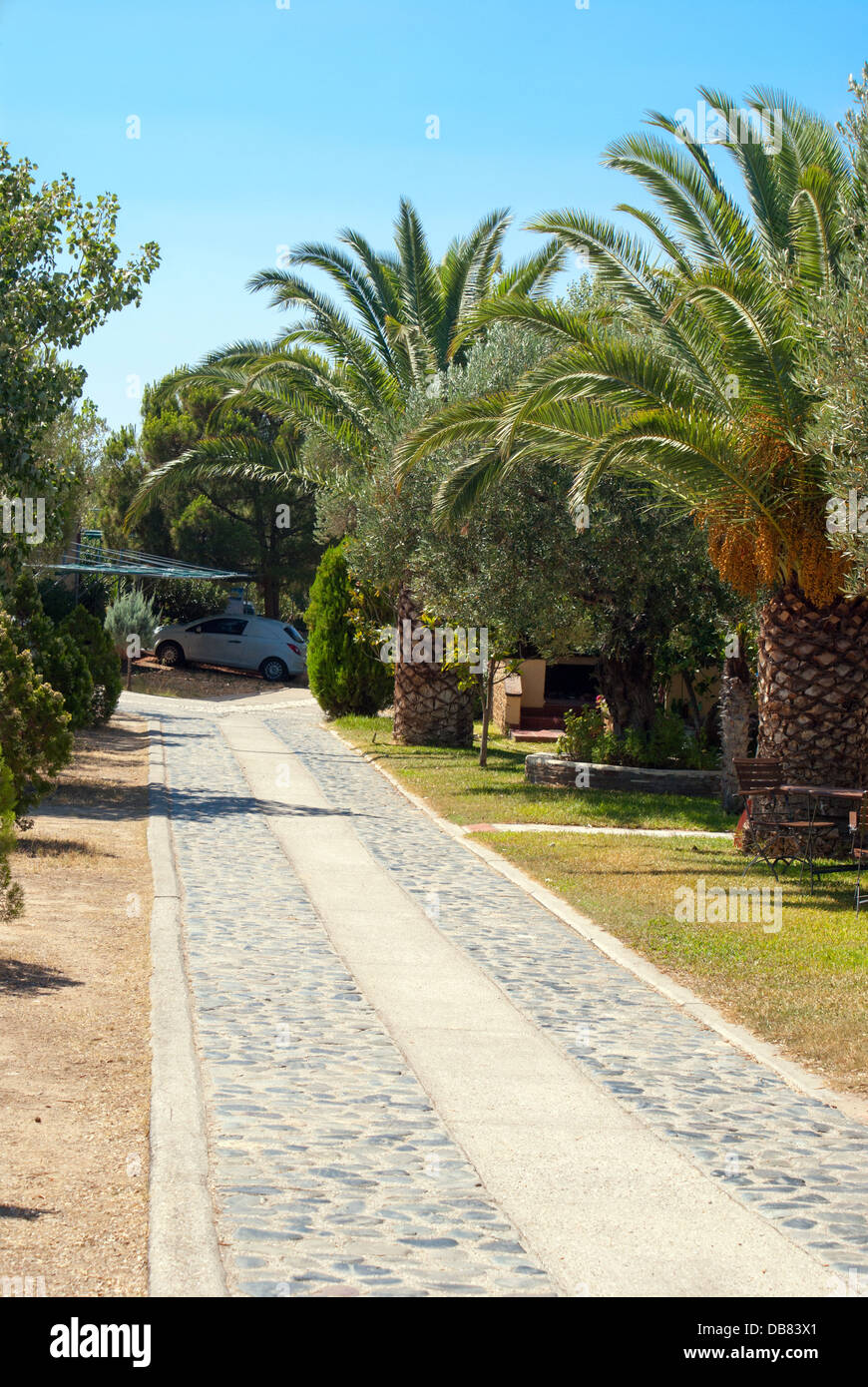Stone pathway into garden during day time at Chalkidiki in Greece Stock ...
