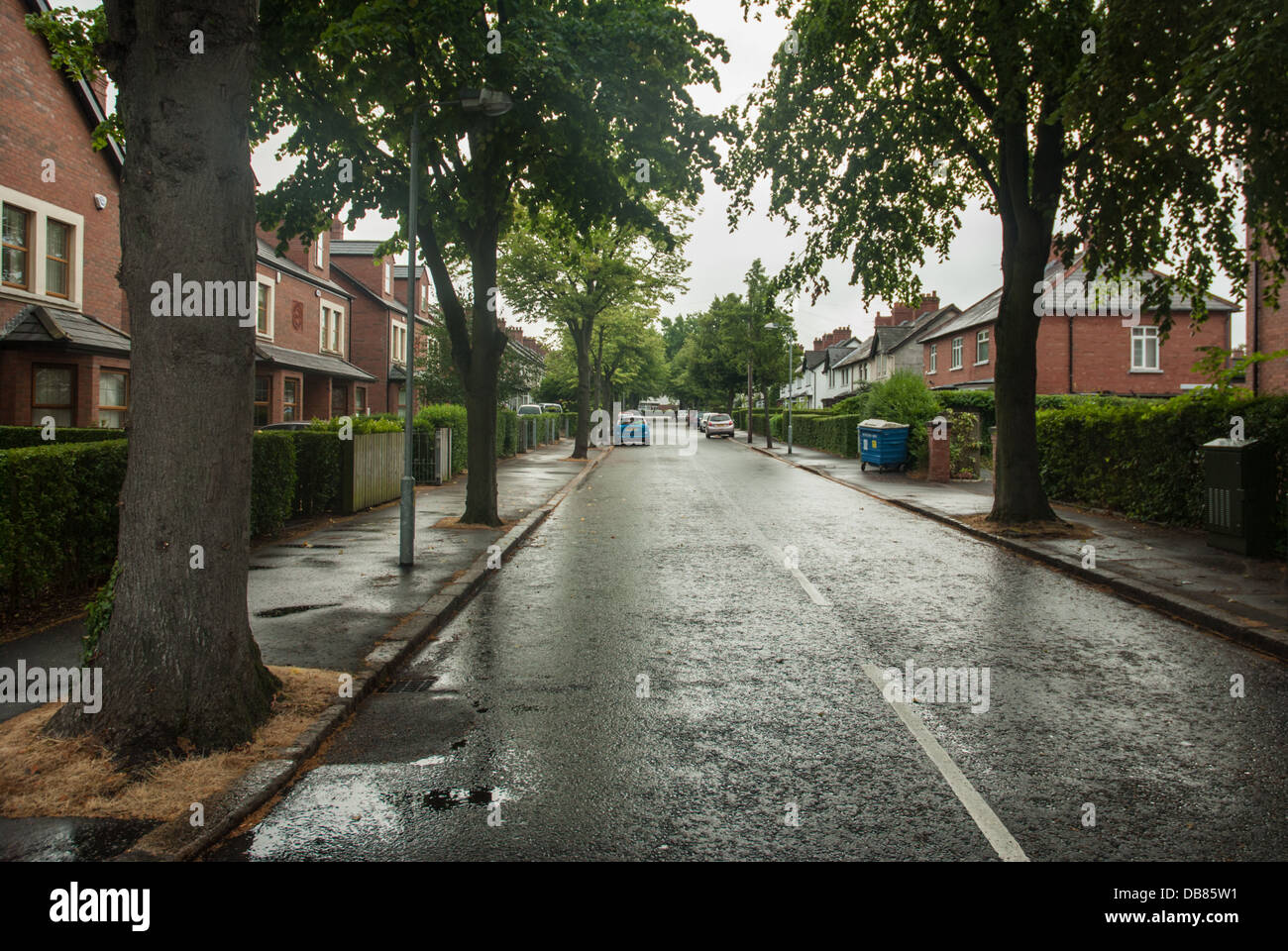 Suburb trees hi-res stock photography and images - Alamy