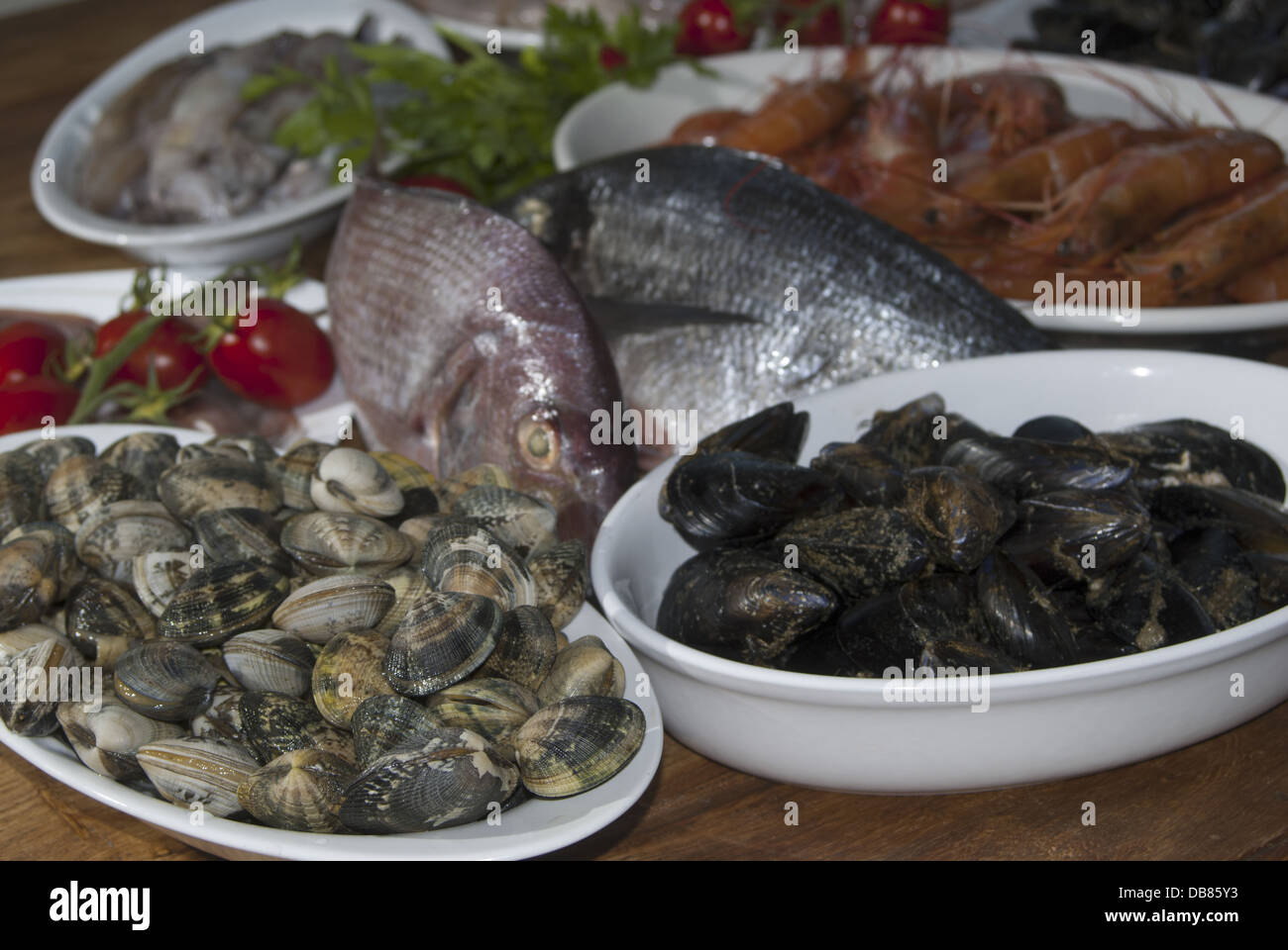 mediterranean bluefish and shellfishes various Stock Photo - Alamy