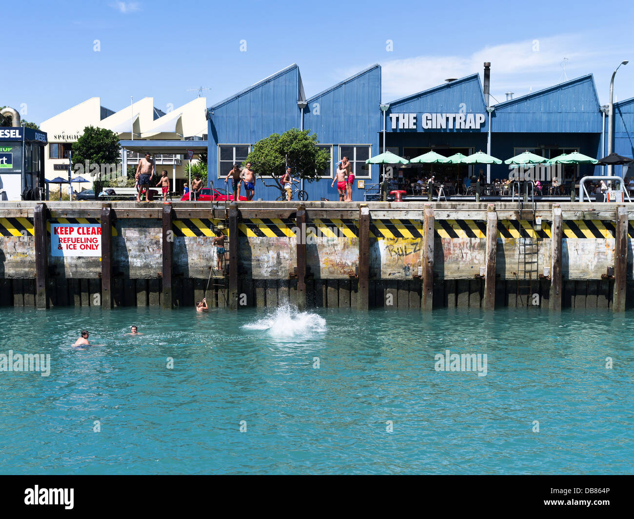 Native New Zealander High Resolution Stock Photography and Images - Alamy