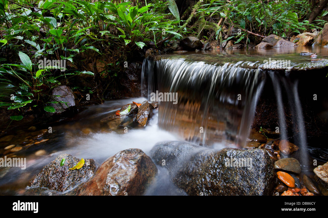 Clear water flowing over rocks in a rainforest stream, Mount Kinabalu ...