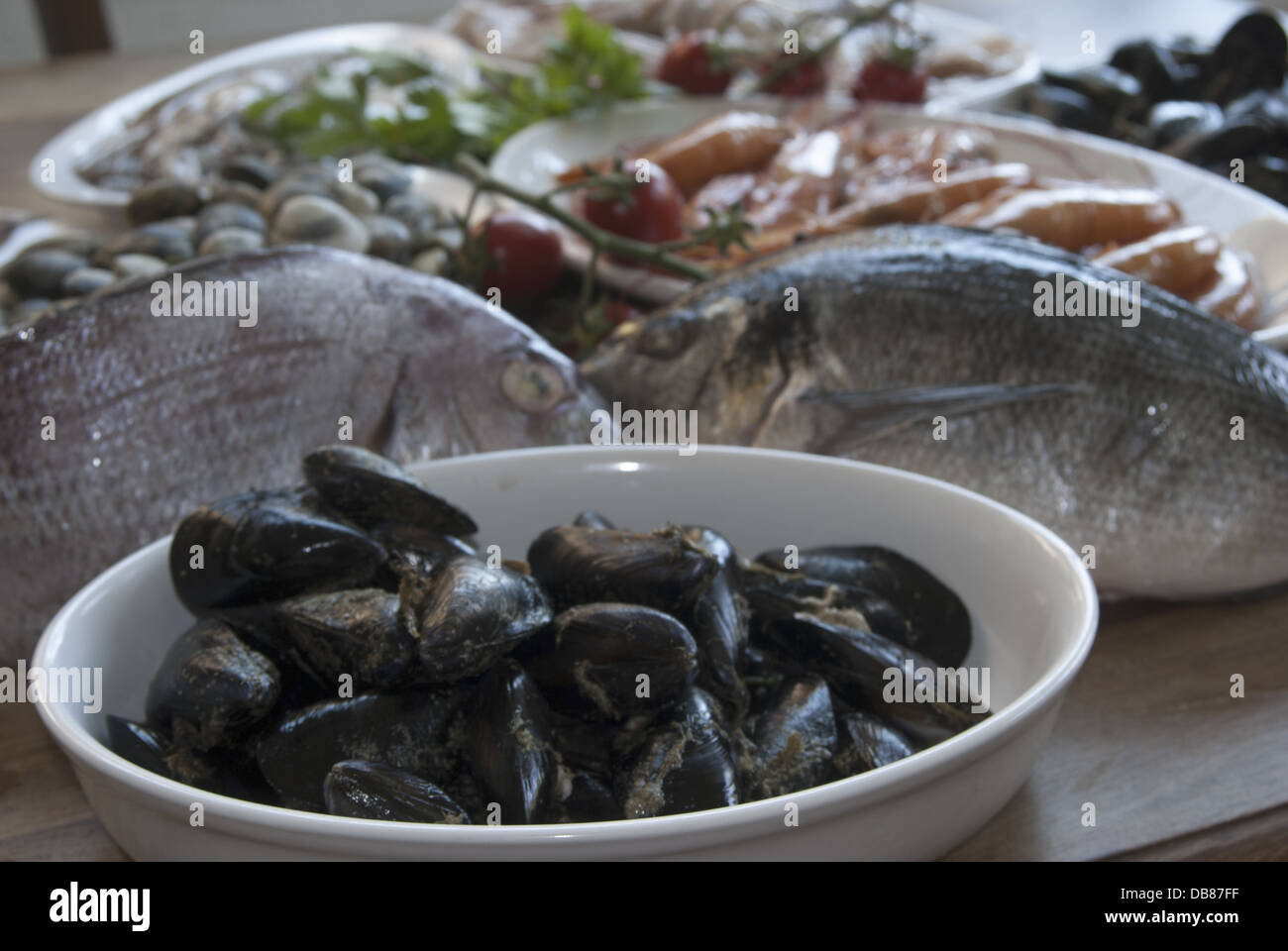 Bluefish hi-res stock photography and images - Alamy