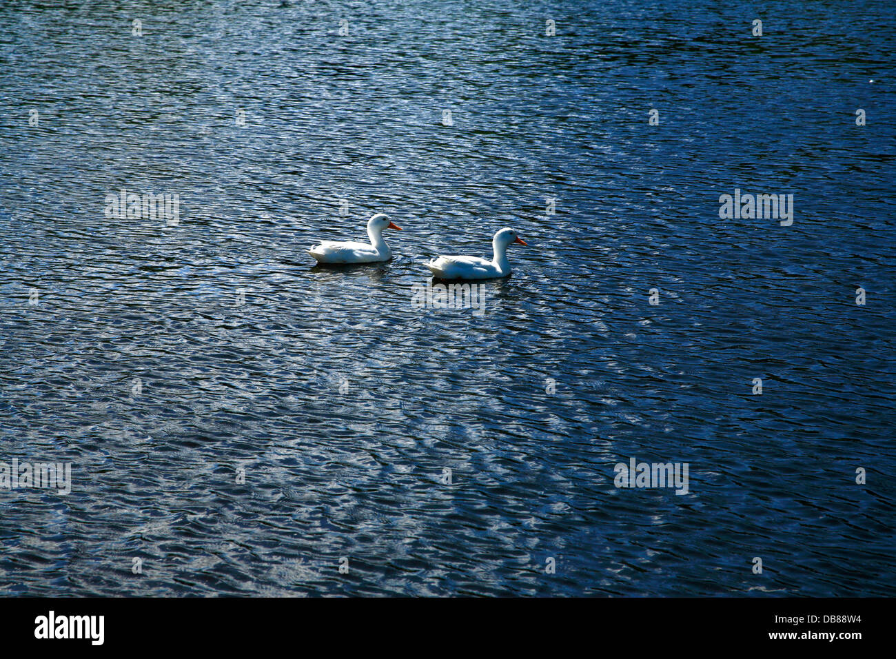 Onrus High Resolution Stock Photography and Images - Alamy