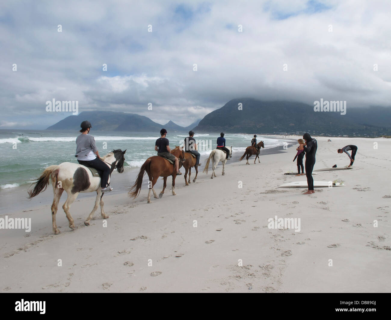 Cape Town, horse riders and surfers on Noordhoek Beach with Chapmans ...