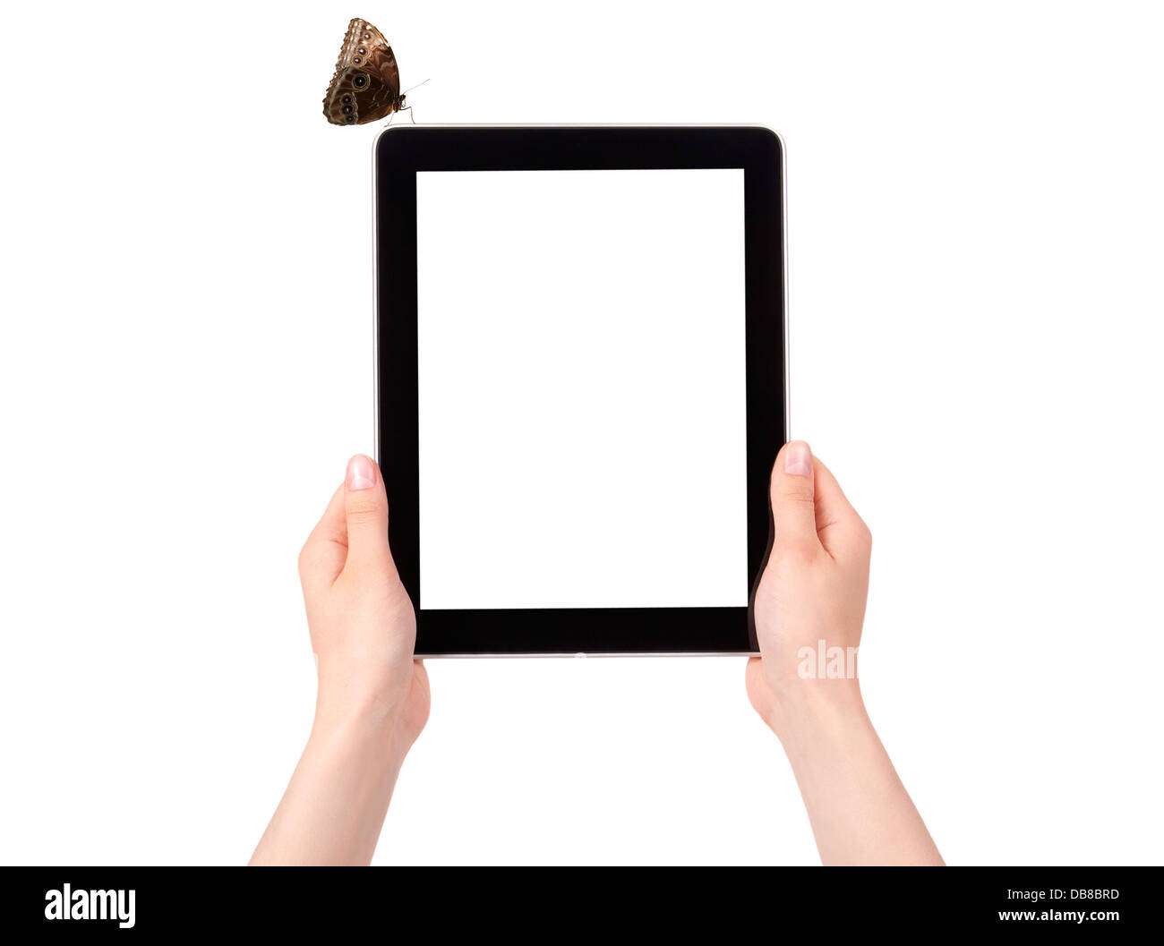 Hands woman using home Cut Out Stock Images & Pictures - Alamy