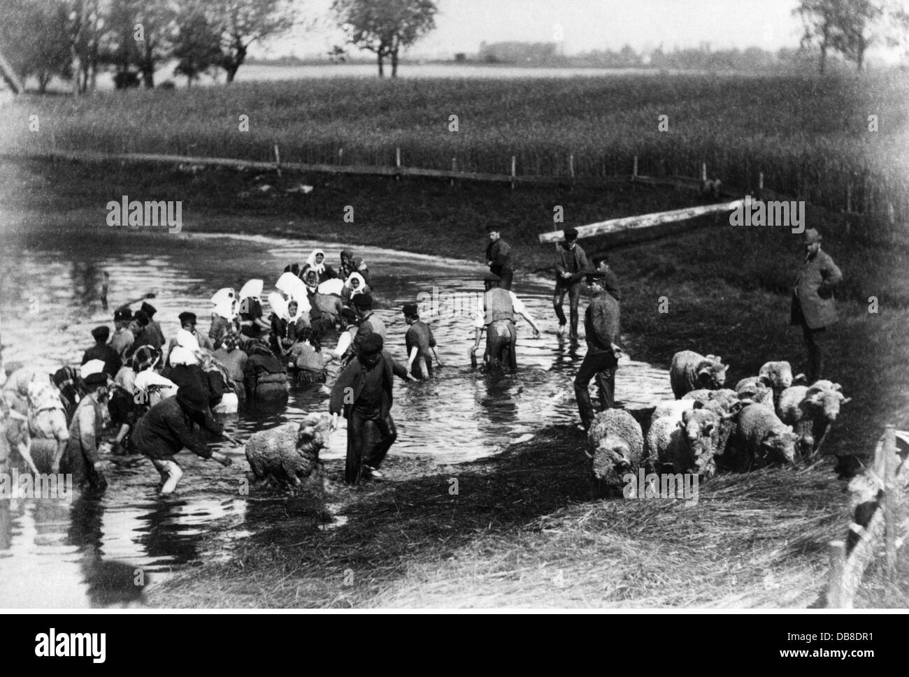 1900 farming hi-res stock photography and images - Alamy