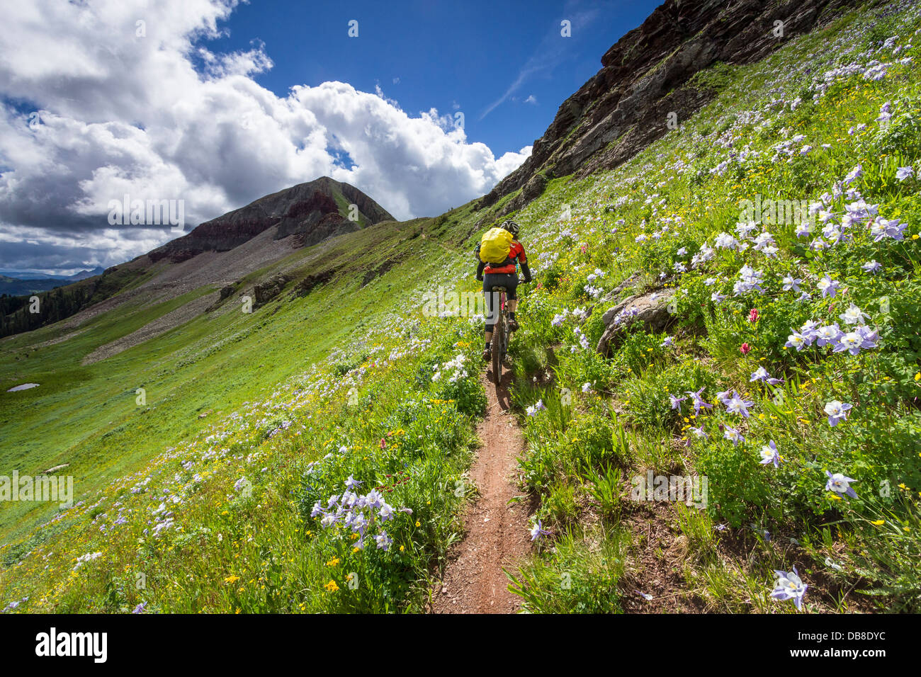 Susan davey hi-res stock photography and images - Alamy