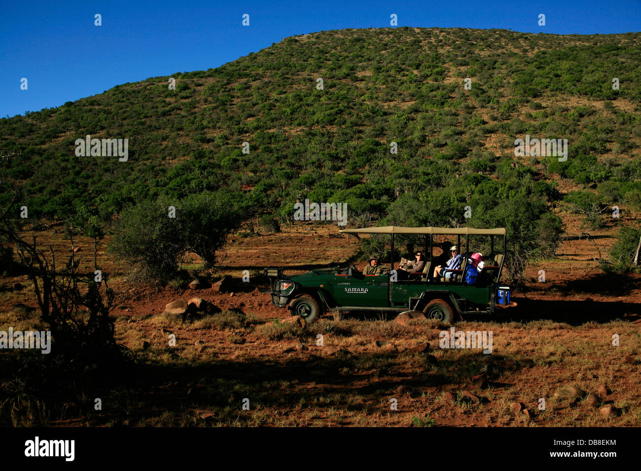 Samara game reserve hi-res stock photography and images - Alamy