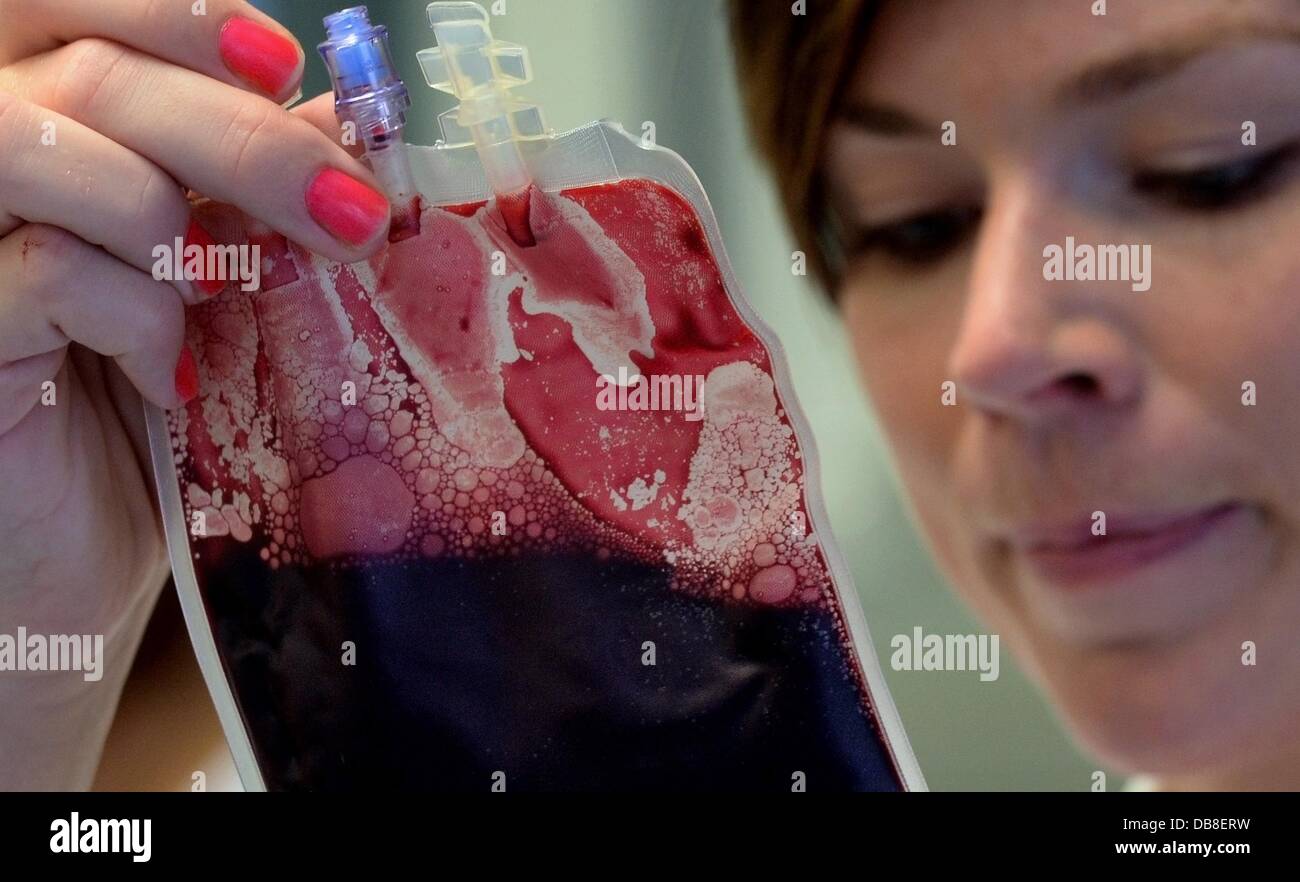 Medical technology assistant Babett Borsch check a sample of cord blood ...