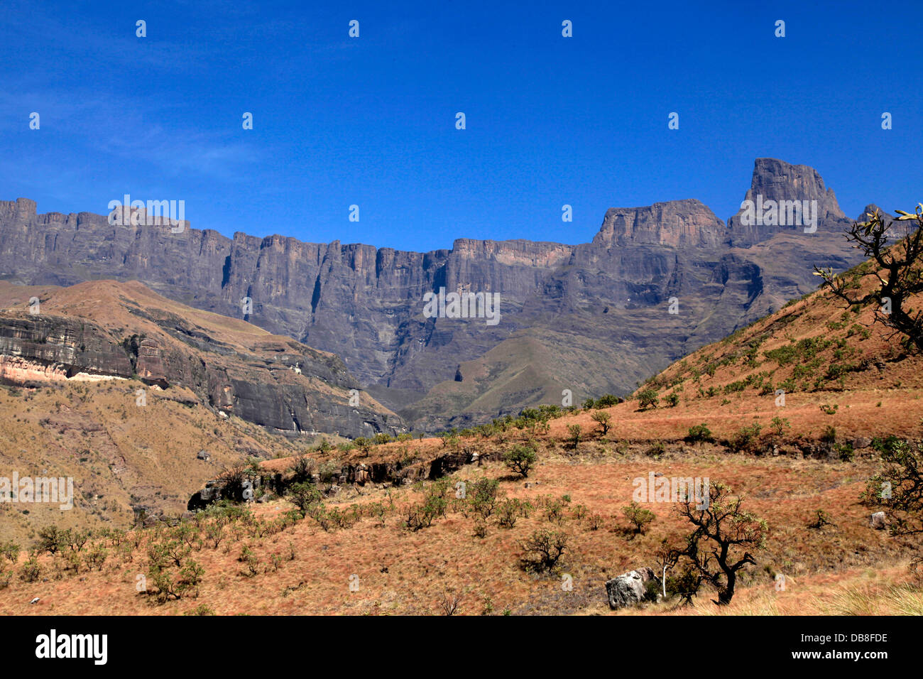 Thukela Gorge hike with the Amphitheatre in the background in Royal ...