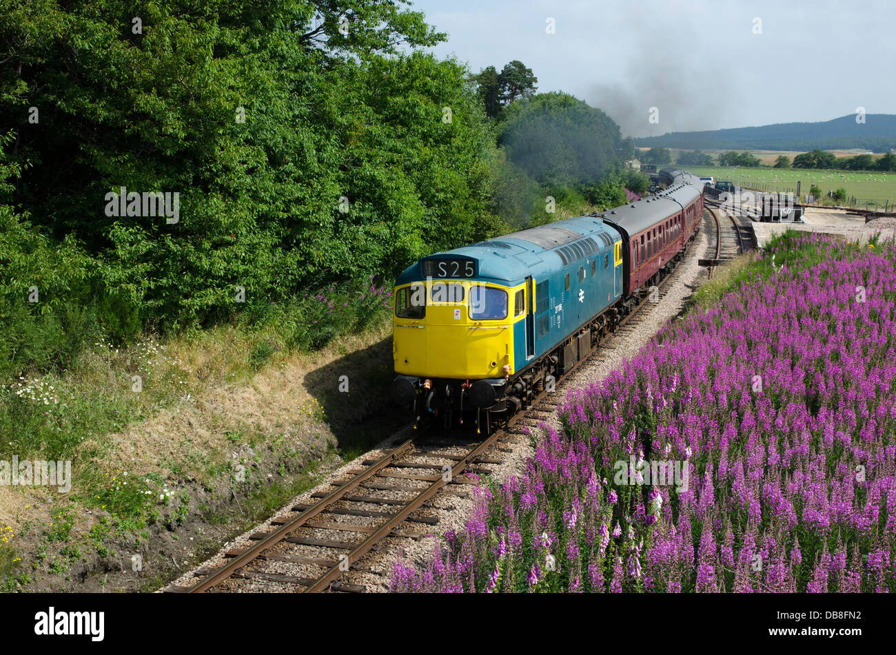Class 27 diesel locomotive hi-res stock photography and images - Alamy