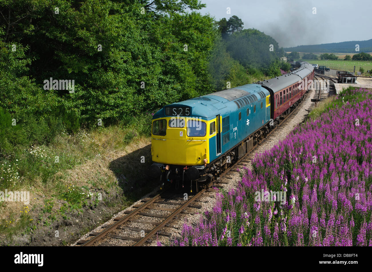 diesel-electric type 2 class 27 D5394 27106 BRCW broomhill station ...