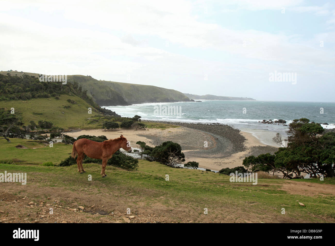 Mapuzi near coffee bay hi-res stock photography and images - Alamy