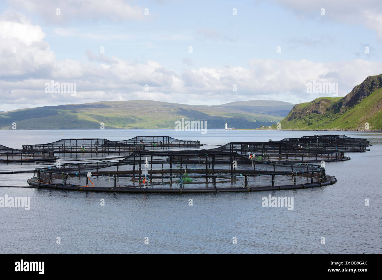 Bloody bay fish farm hi-res stock photography and images - Alamy