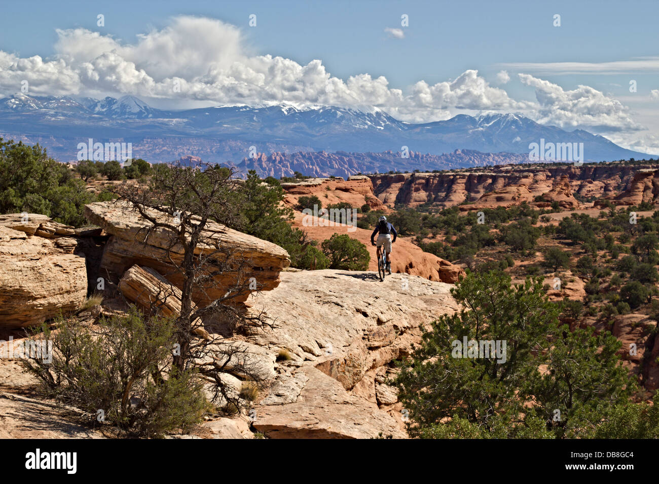 Mark Howe mountain biking on the Bull Run trail, Moab, Utah Stock Photo ...