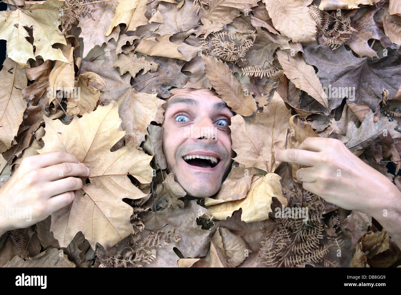 discovering the face of autumn season Stock Photo - Alamy
