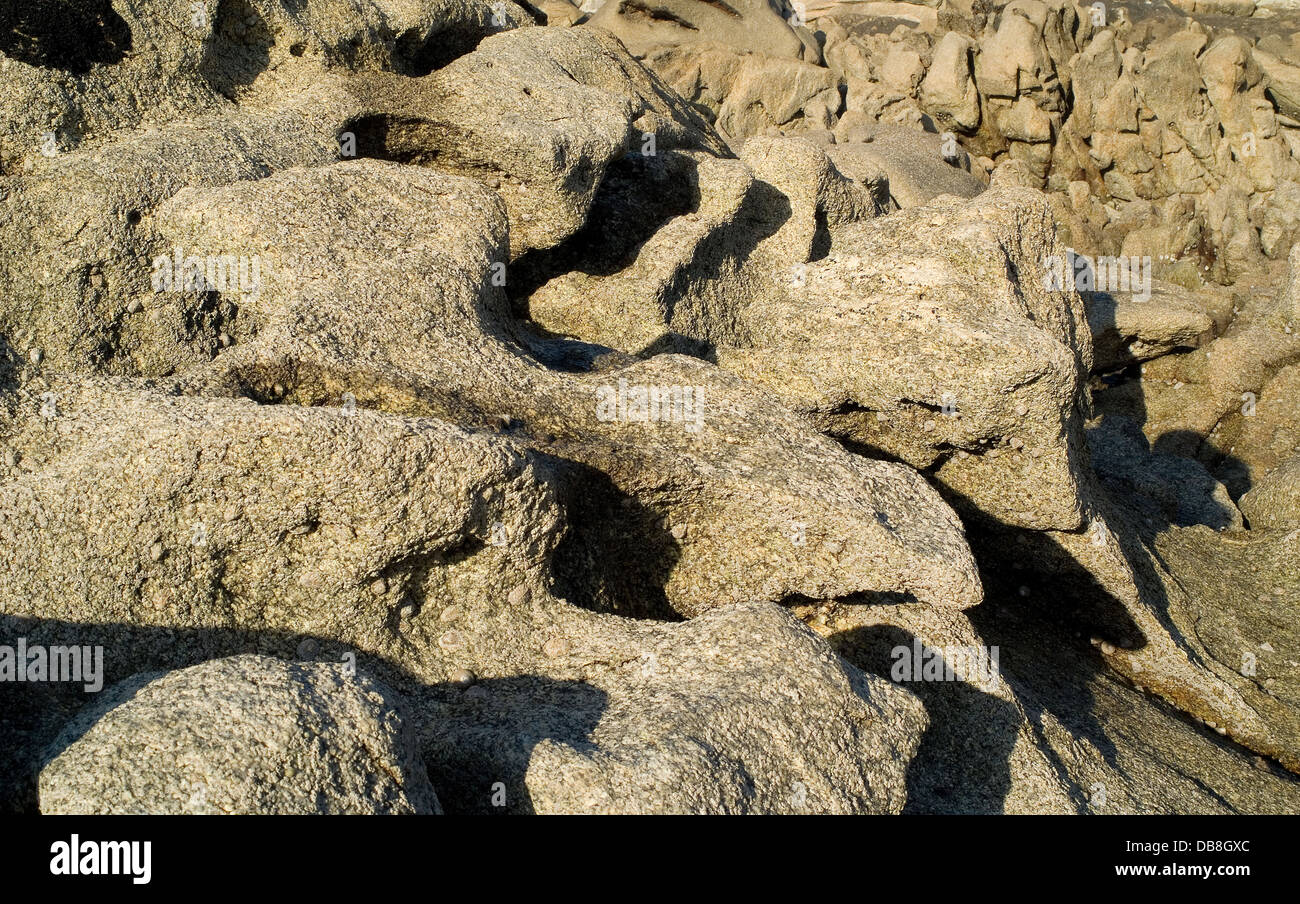 Coastal rocks carved by the sea and wind Stock Photo - Alamy