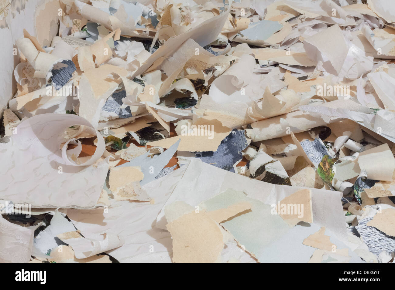 closeup at paper waste background Stock Photo - Alamy