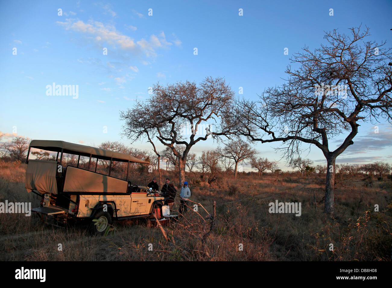 sunset game drive and sundowners in Kruger National Park, South Africa ...