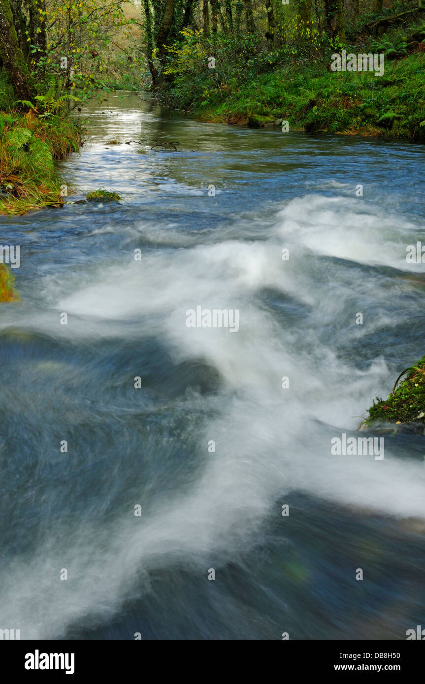 River through a deciduous forest in autumn Stock Photo - Alamy