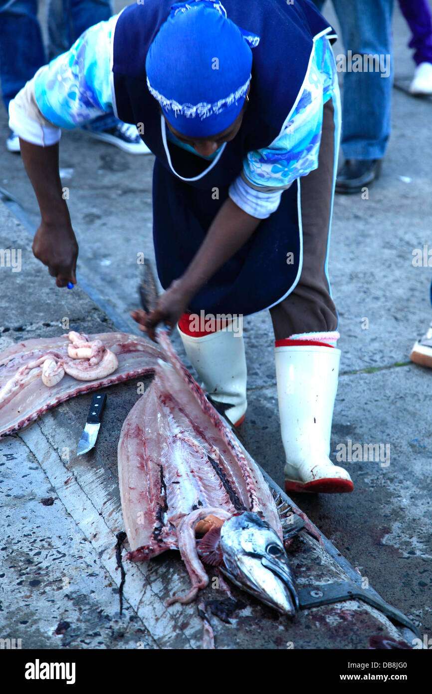 Snoek hout bay fish hi-res stock photography and images - Alamy