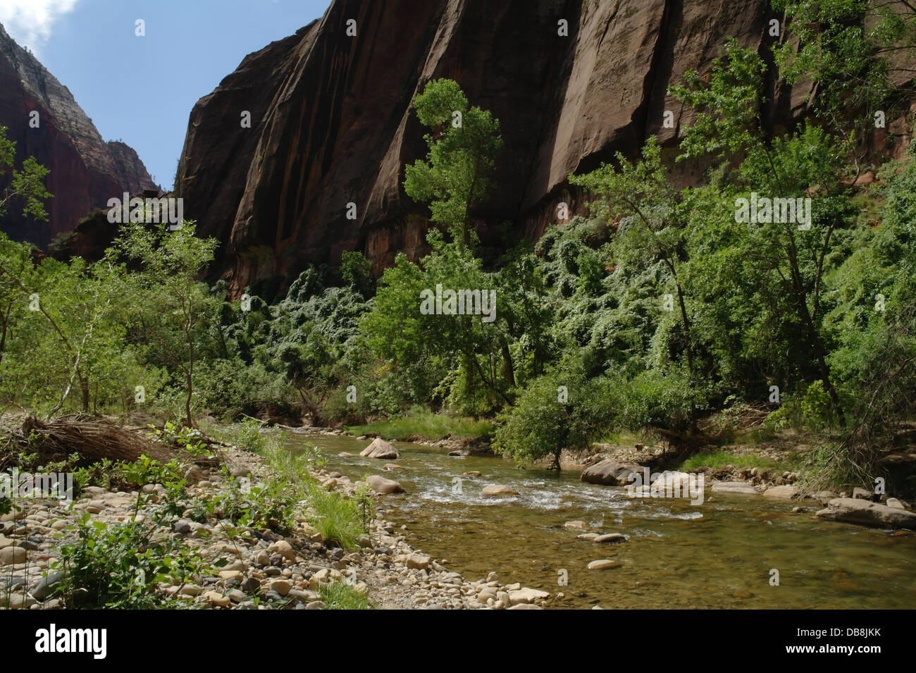 Blue sky view, looking downstream, green trees growing sides Virgin ...