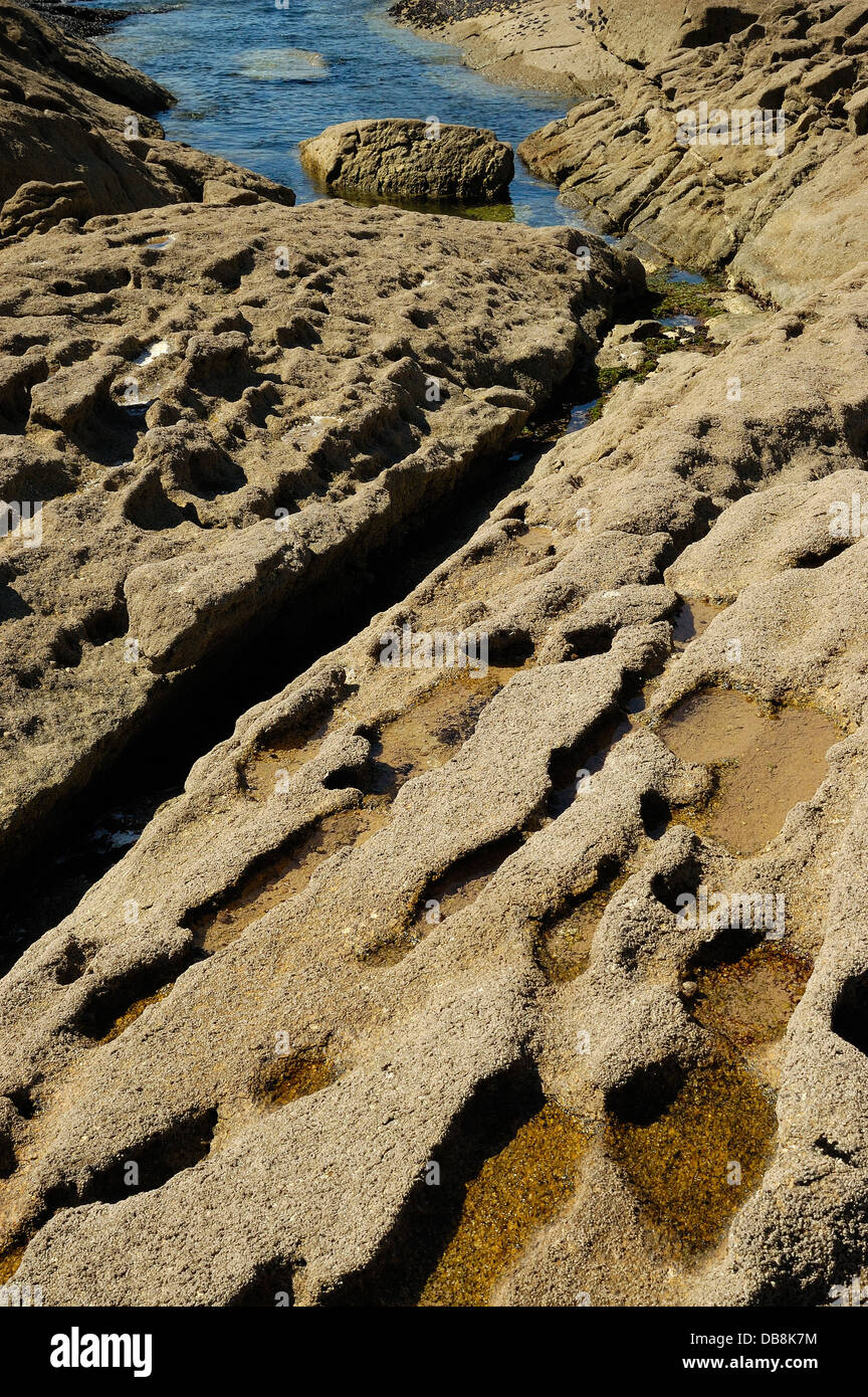 Coastal rocks carved by the sea and wind Stock Photo - Alamy