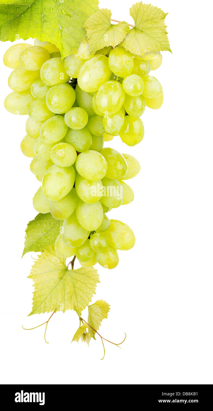 white grape isolated on a white background Stock Photo - Alamy