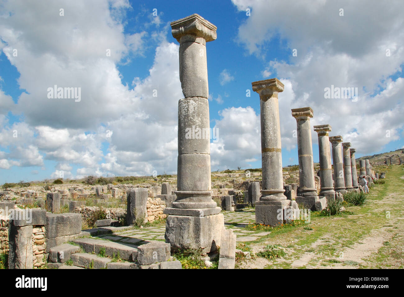 The Roman ruins in Morocco showcase the ancient architecture and ...