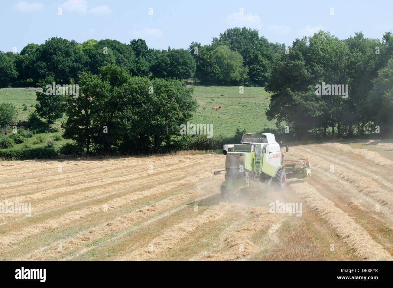 French harvester hi-res stock photography and images - Alamy