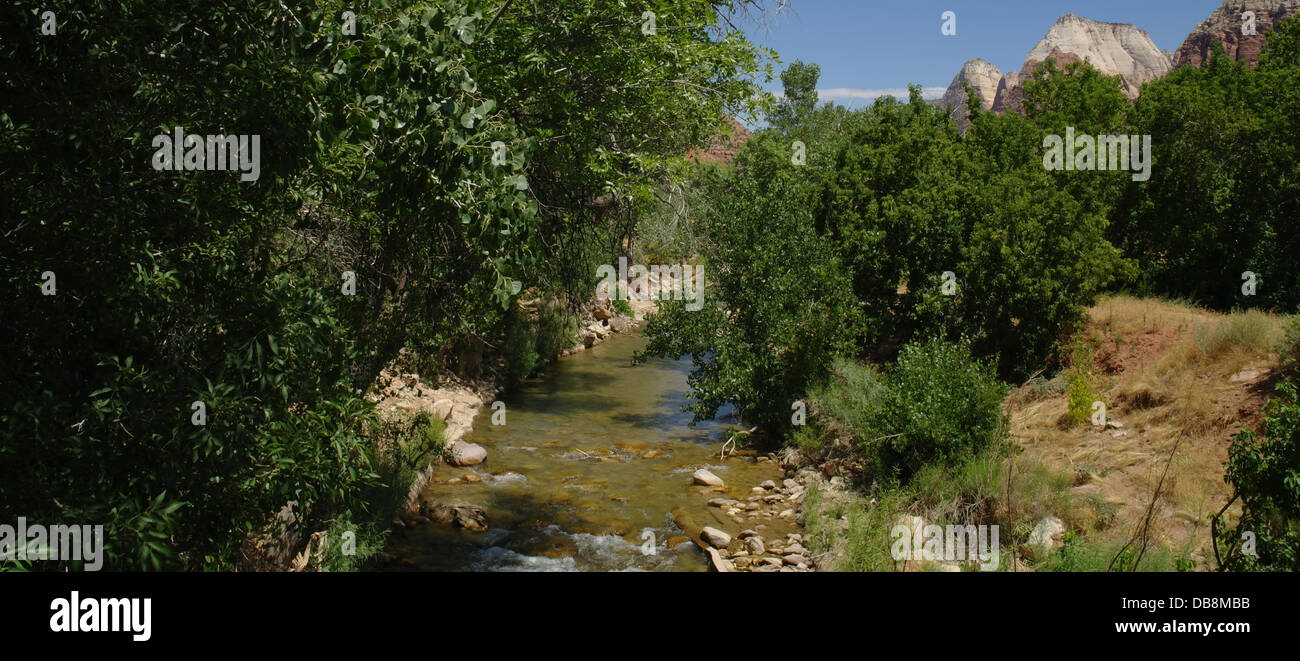 Blue sky view, toward canyon peaks, straight channel Virgin River ...